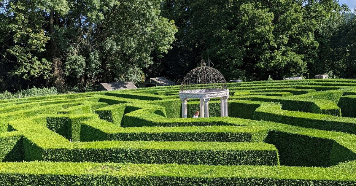 Articles — Navigating the MBA Maze: How to Research and Choose the ...